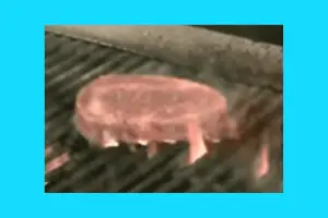 How Much Smoke Should Come Out Of A Smoker [Explained]