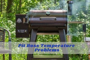 Pit Boss Temperature Problems Troubleshooting Guide [15+ Solutions ...