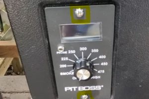 Why My Pit Boss Won’t Turn On [Reasons + Solutions] - FireplaceHubs