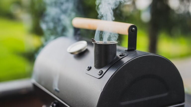 How Much Smoke Should Come Out Of A Smoker [Explained] - FireplaceHubs