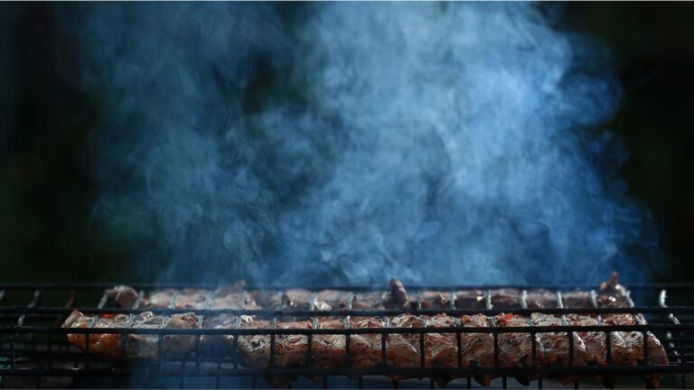 How Much Smoke Should Come Out Of A Smoker [Explained] - FireplaceHubs